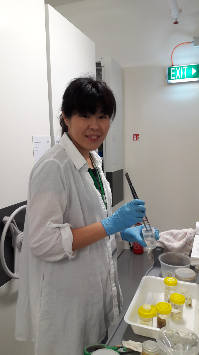 Scientist Feature: Dr Yang Chien-Hui | Lee Kong Chian Natural History ...