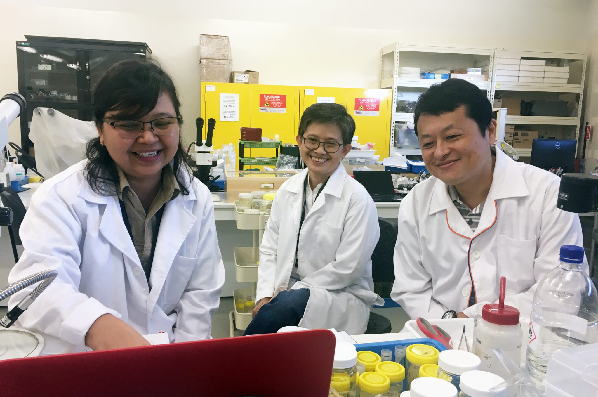 Visiting Scientist(s) Feature: Carcinologist Edition | Lee Kong Chian ...