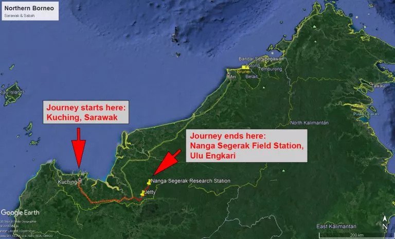 The Road to RIMBA III – Journey | Lee Kong Chian Natural History Museum