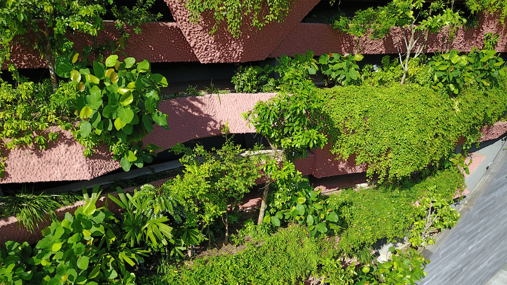 Skyrise Greenery Commemorative Stamps featuring LKCNHM Building | Lee ...