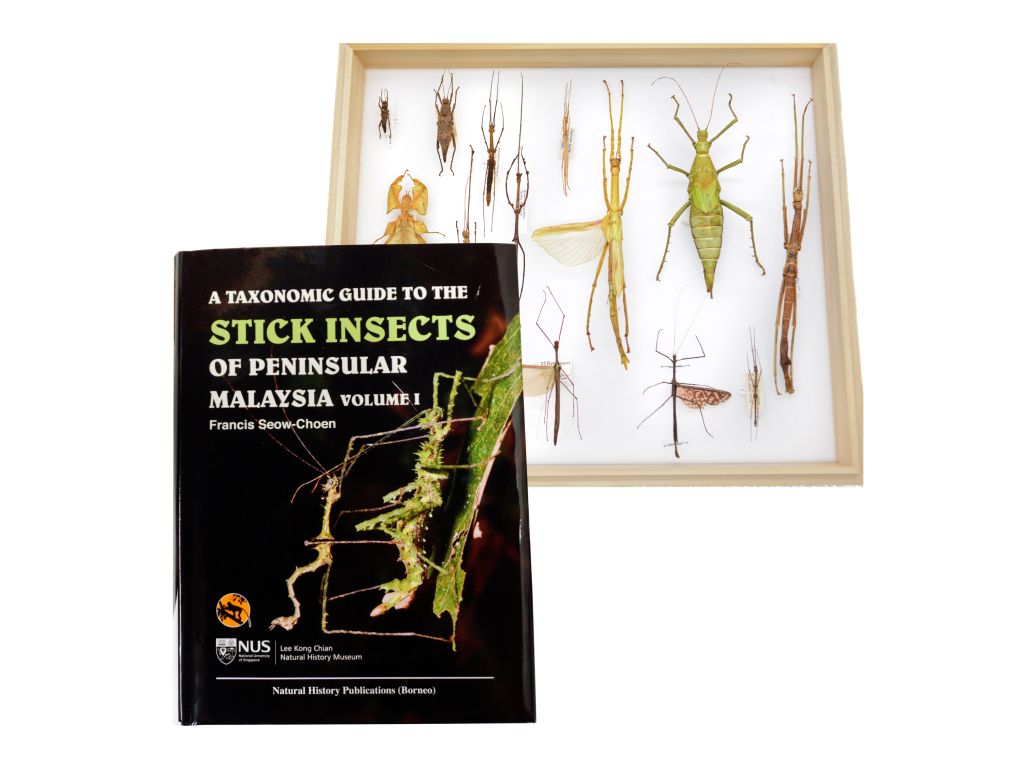 Specialist Surgeon by Day, Expert Entomologist by Night: An Interview ...