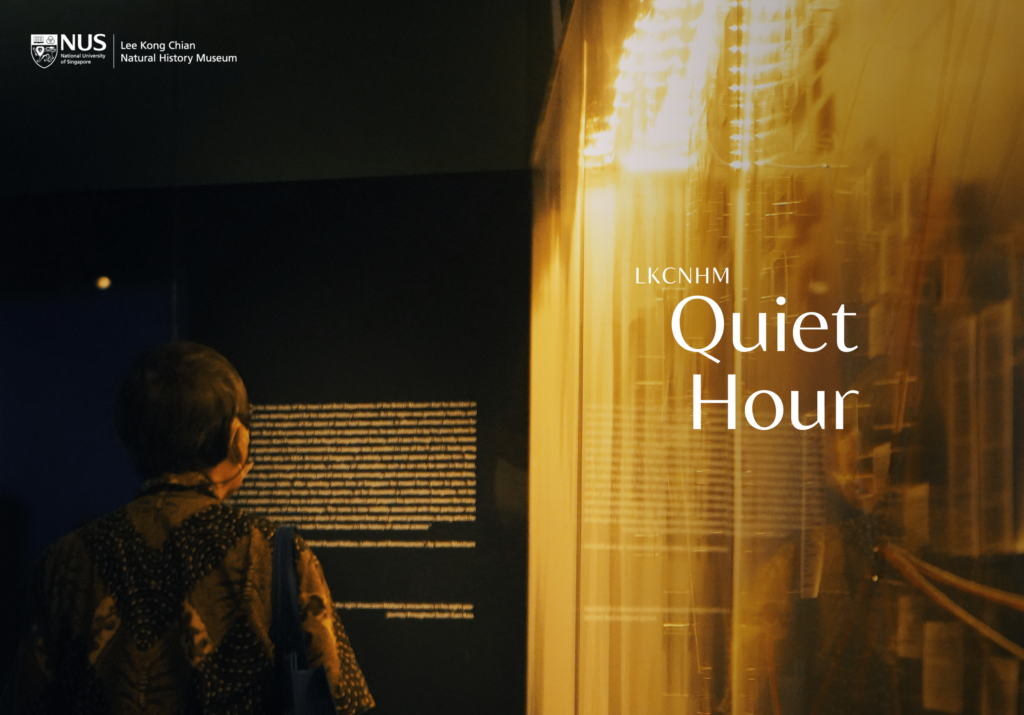 LKCNHM Quiet Hour | Lee Kong Chian Natural History Museum