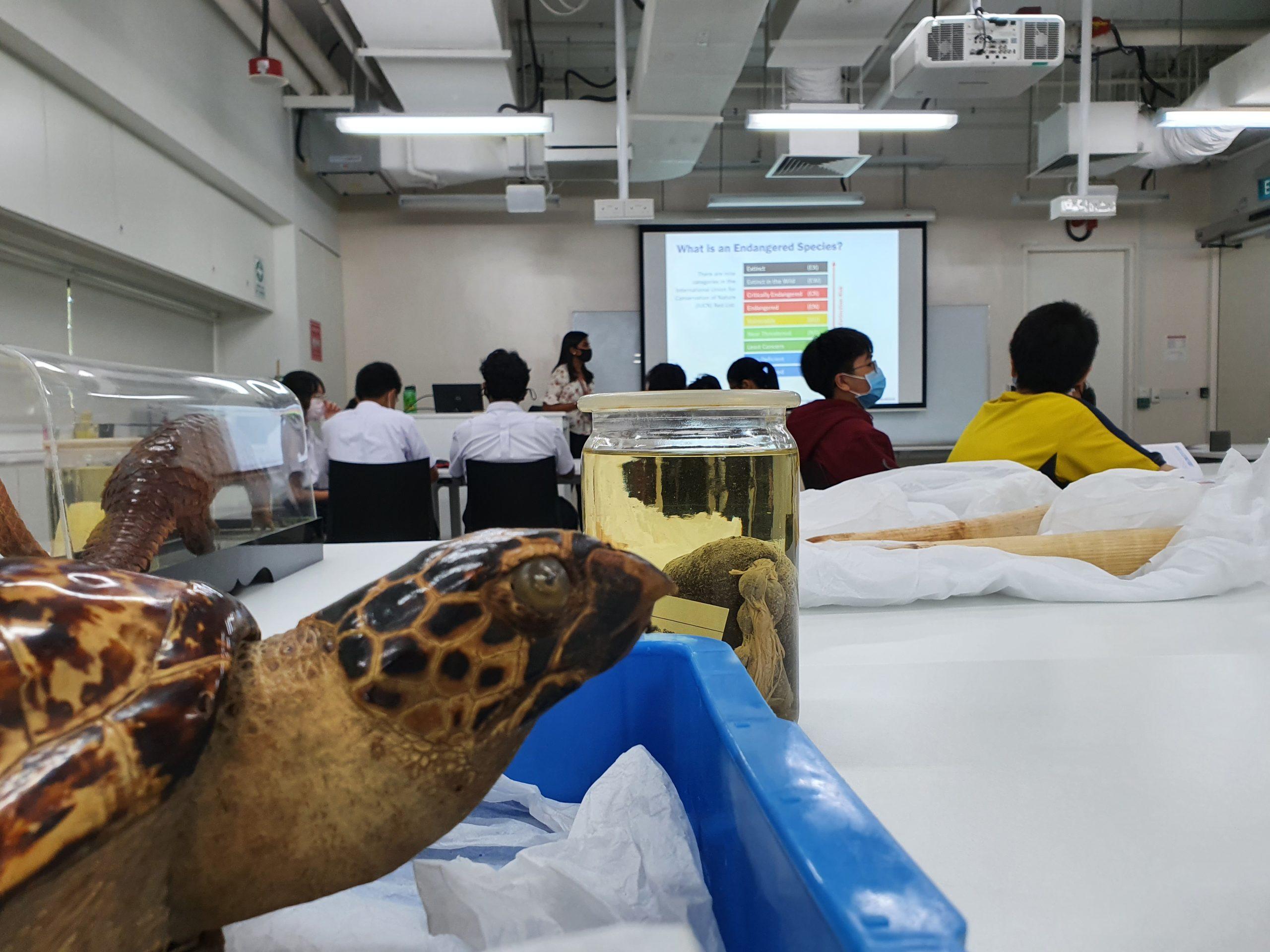 Workshops - NUS LKCNHM