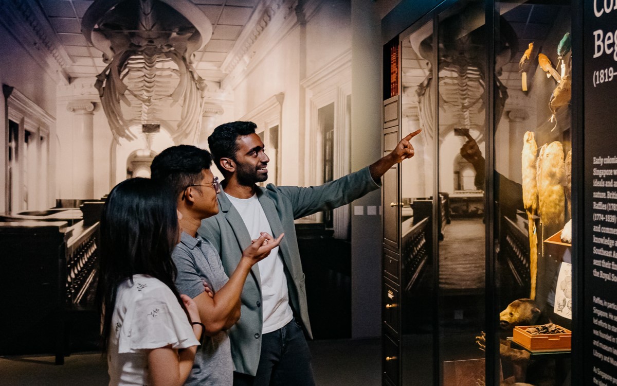 Gallery - NUS LKCNHM