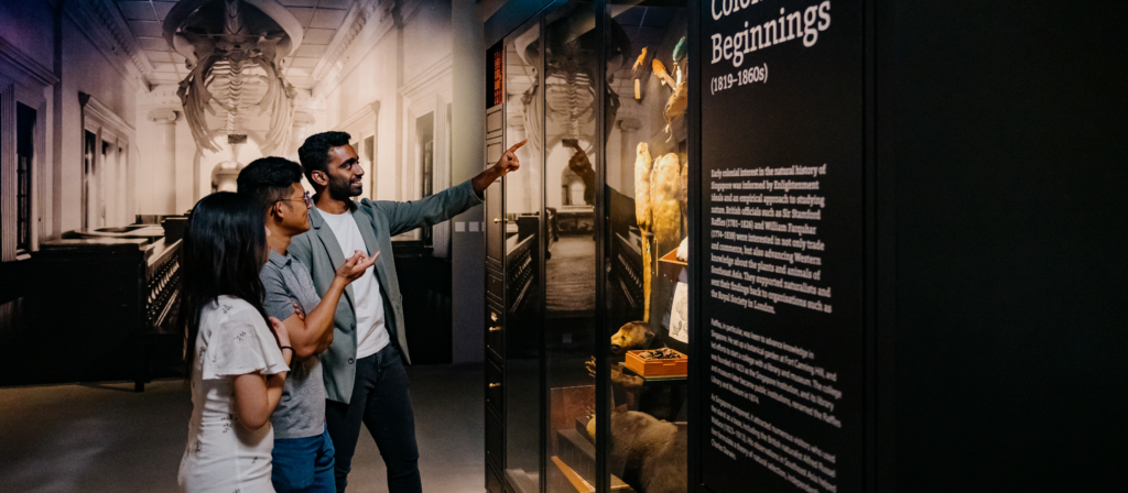 Gallery - NUS LKCNHM