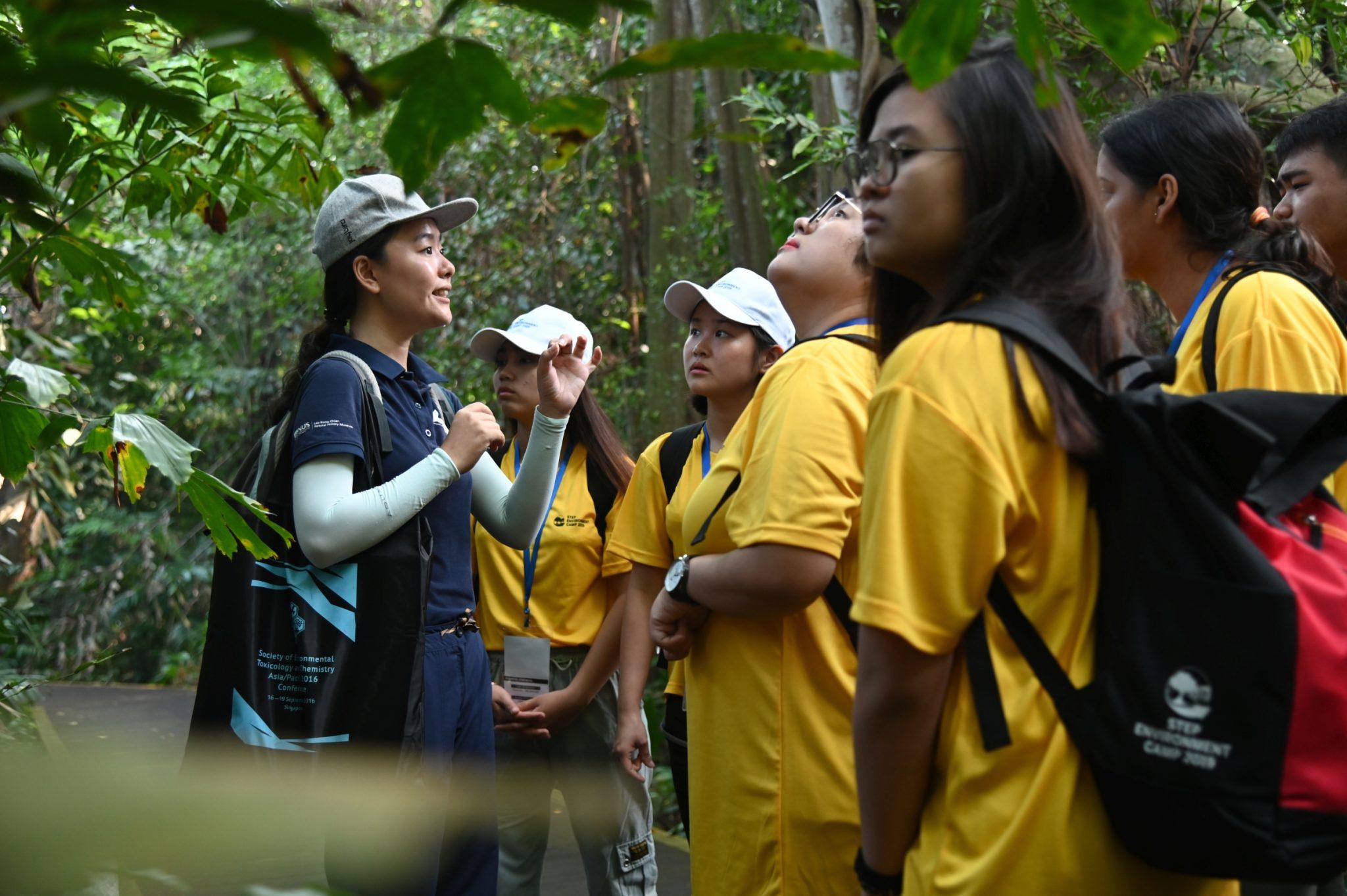 Guided Nature Walks - NUS LKCNHM