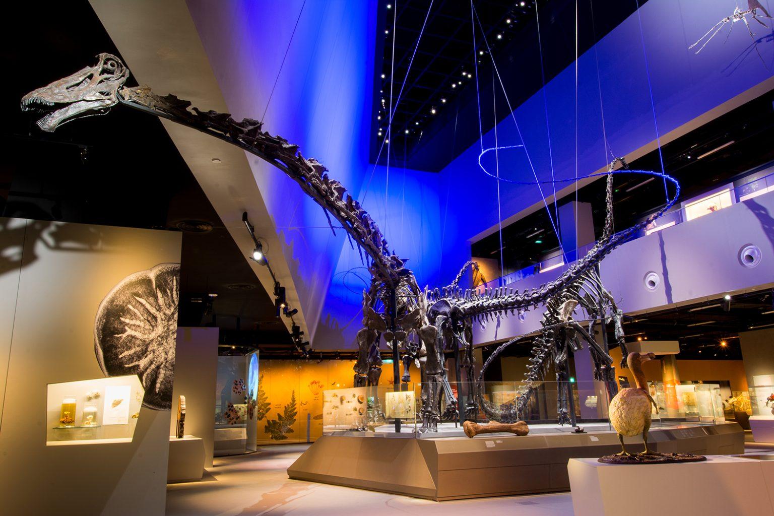 Museum History - NUS LKCNHM