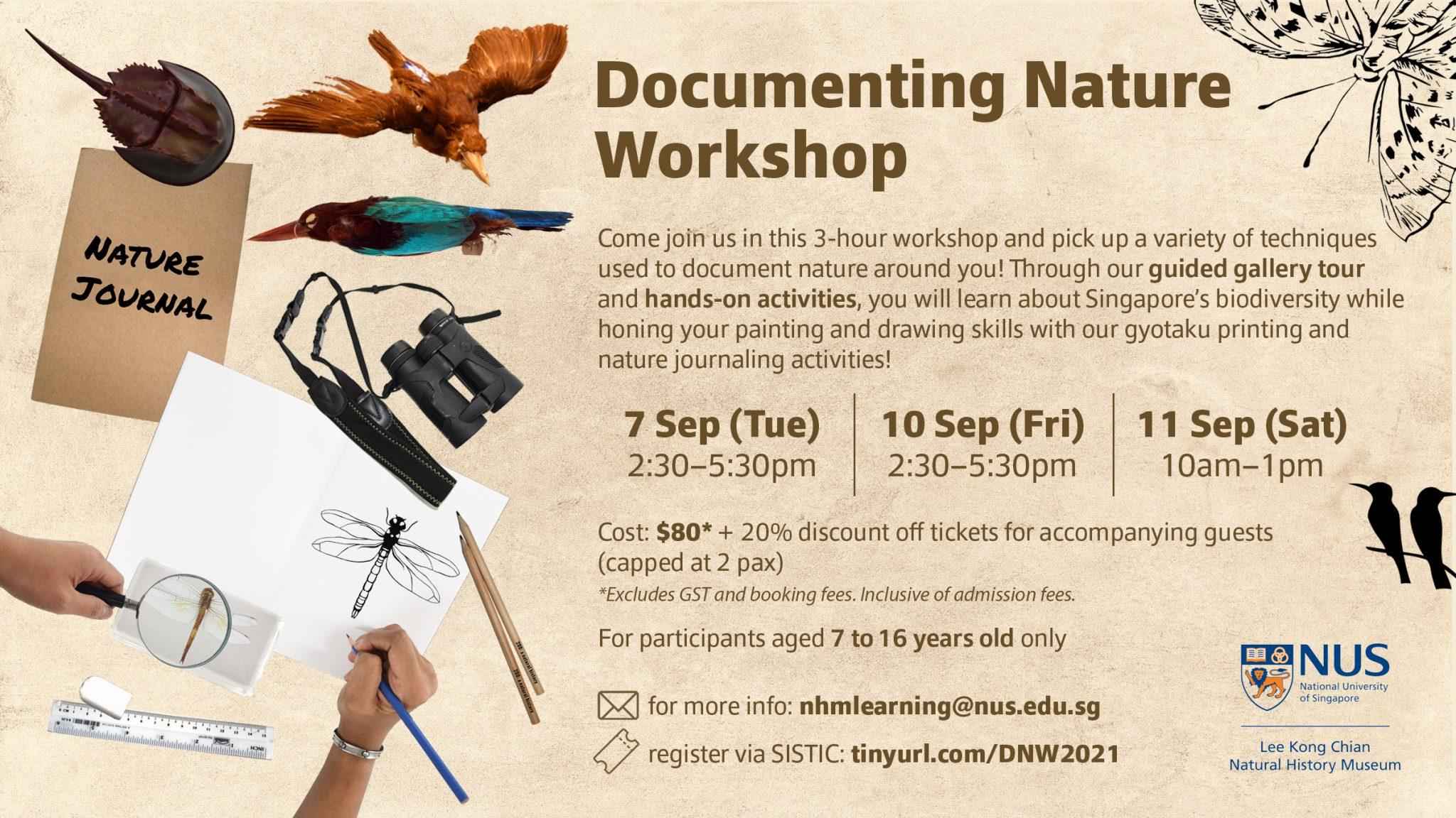 Documenting Nature Workshop @ LKCNHM (concluded) - NUS LKCNHM