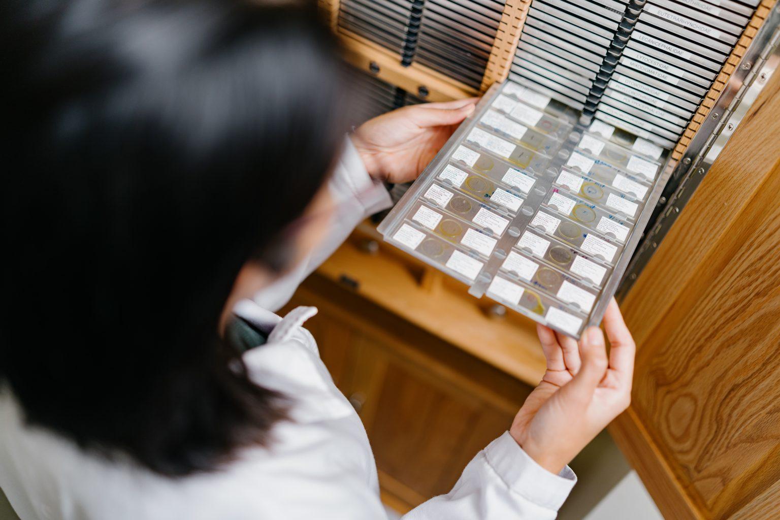 Zooplankton - NUS LKCNHM