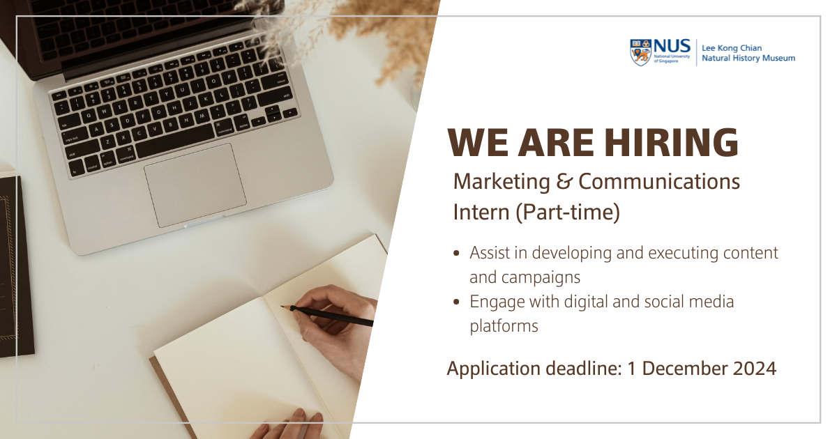 [CLOSED] Marketing and Communications Intern (Part-time) - NUS LKCNHM