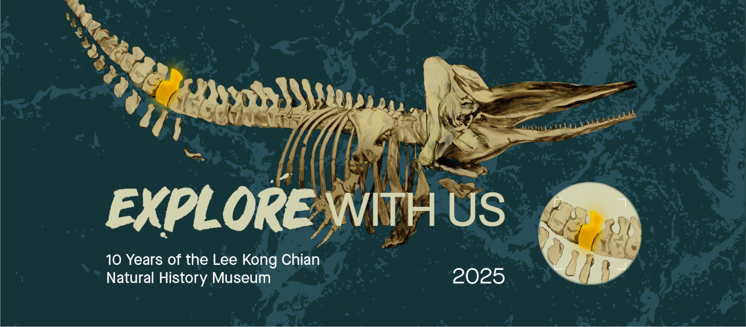 Explore With Us - NUS LKCNHM