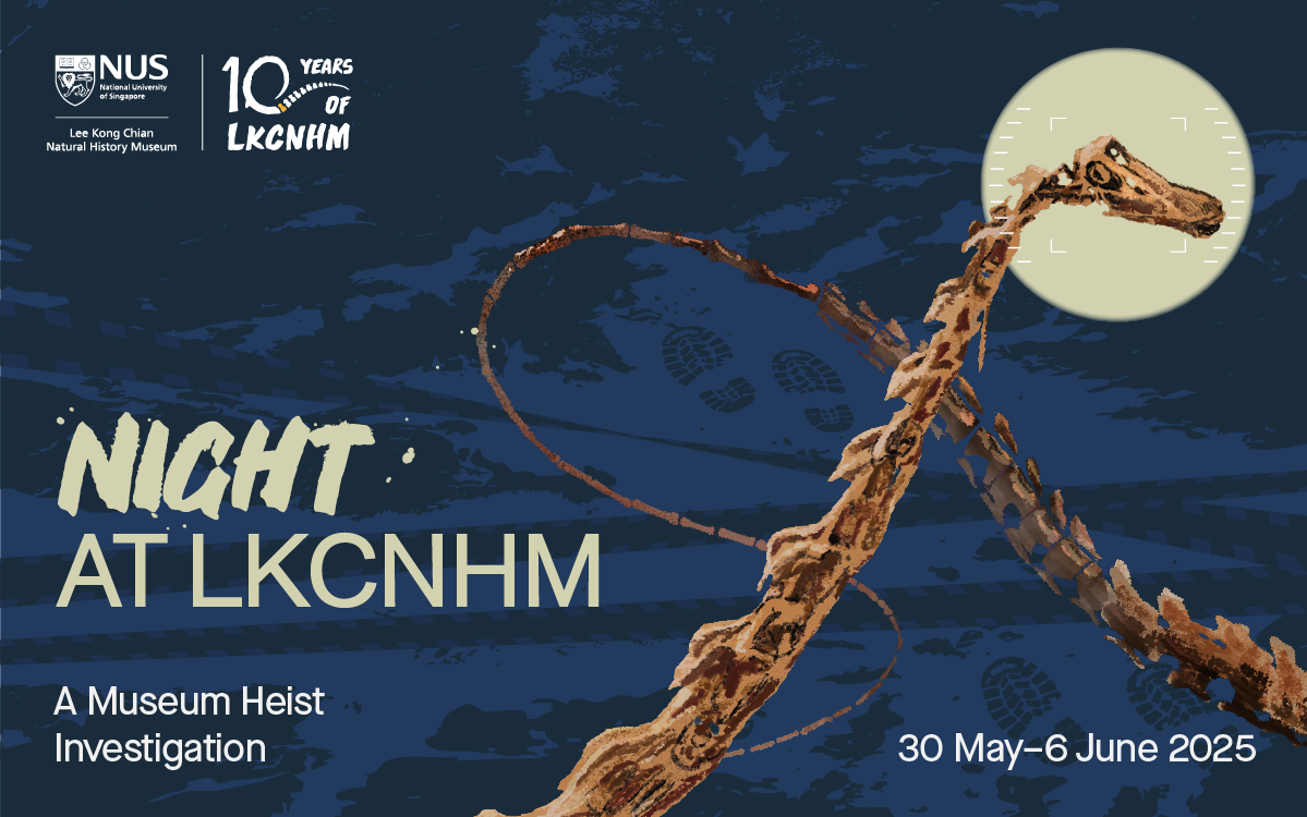 Explore With Us - NUS LKCNHM