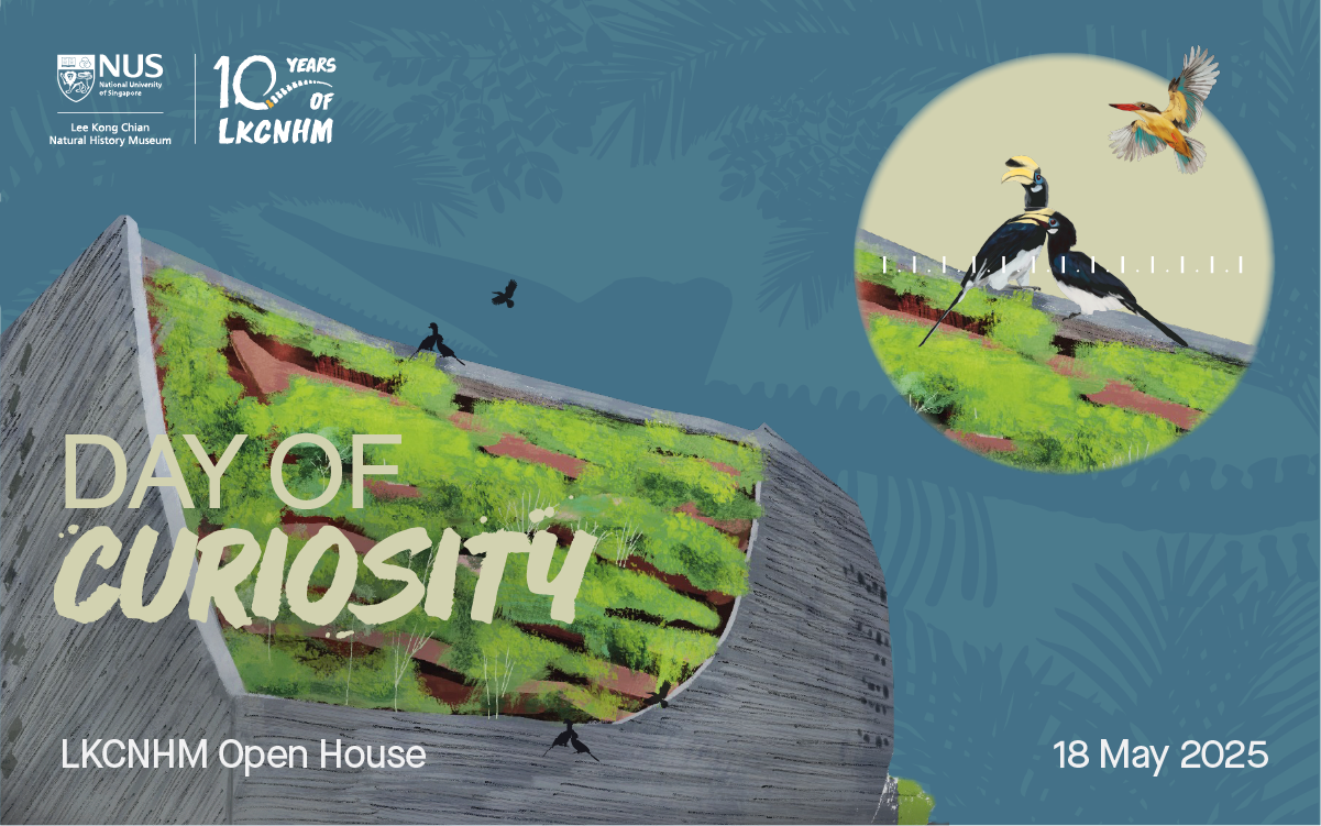 Day of Curiosity: LKCNHM Open House - NUS LKCNHM