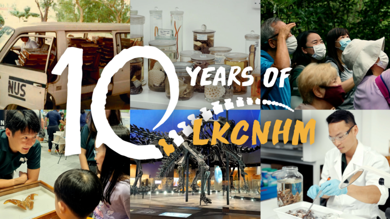 Explore With Us - NUS LKCNHM