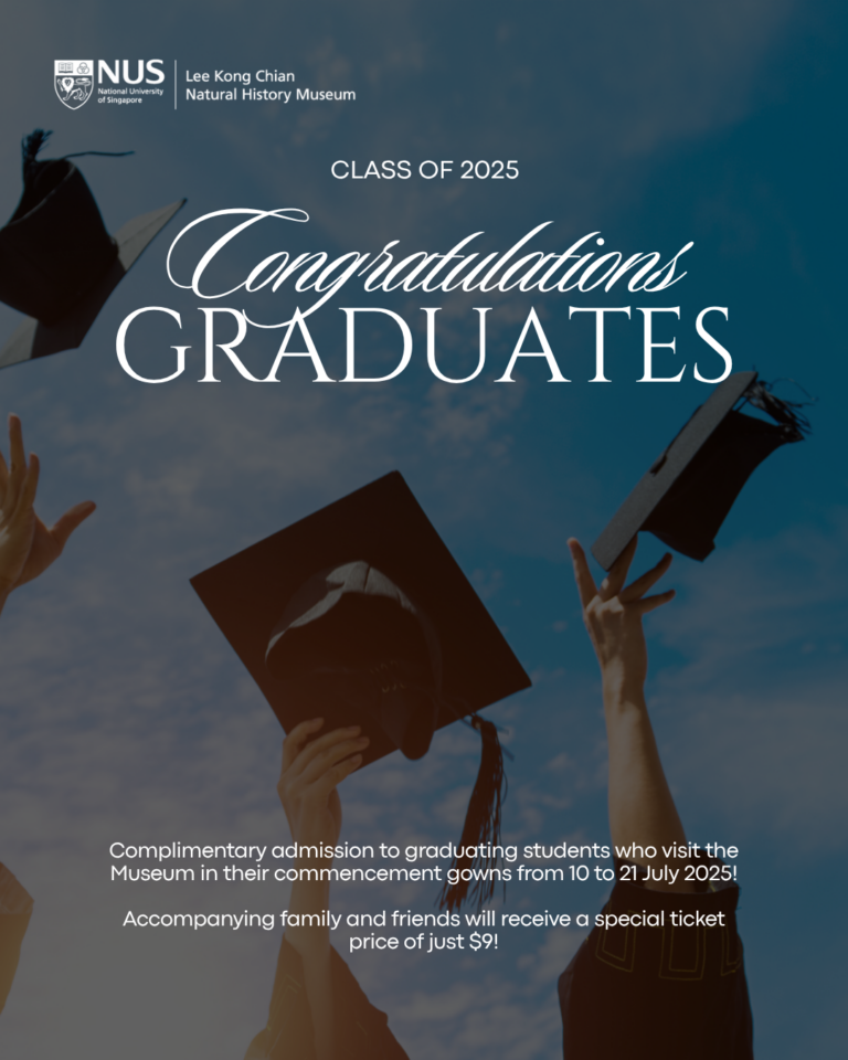 Promotions - NUS LKCNHM