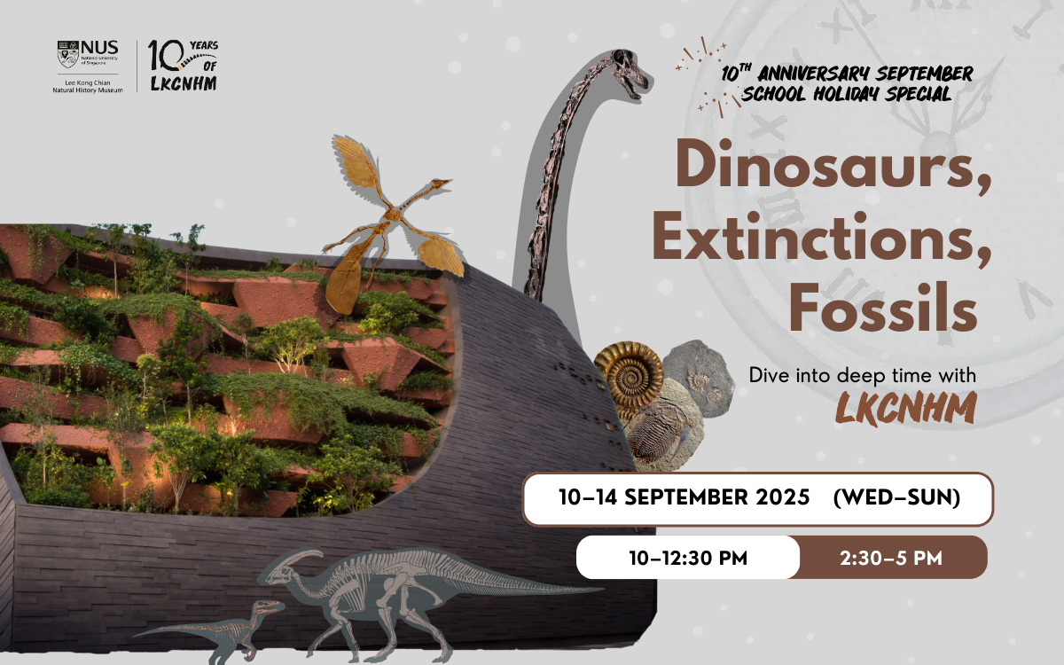 Explore With Us - NUS LKCNHM